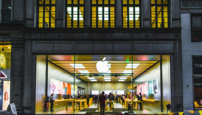 What Is a Concept Store? Definition & Examples